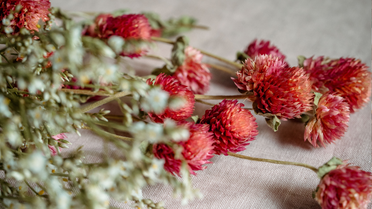 Petals & Roots: Everlasting Flower Corsages are…