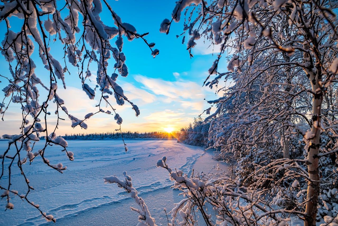 Shortest Day, Longest Night: Winter Solstice…