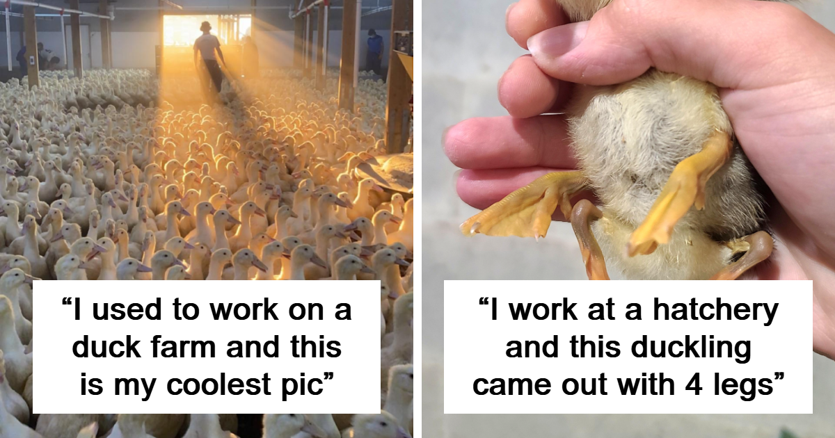 74 Fascinating Photos From People’s Different Jobs…
