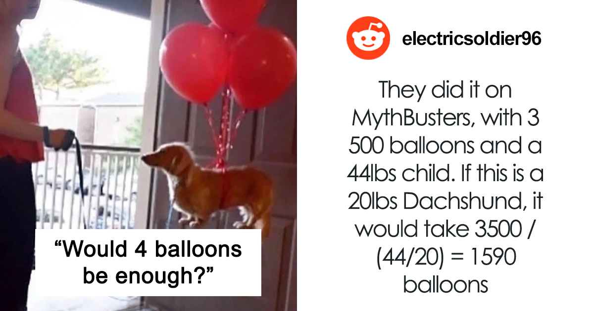 78 Times People Got Asked To Solve The Weirdest Math…
