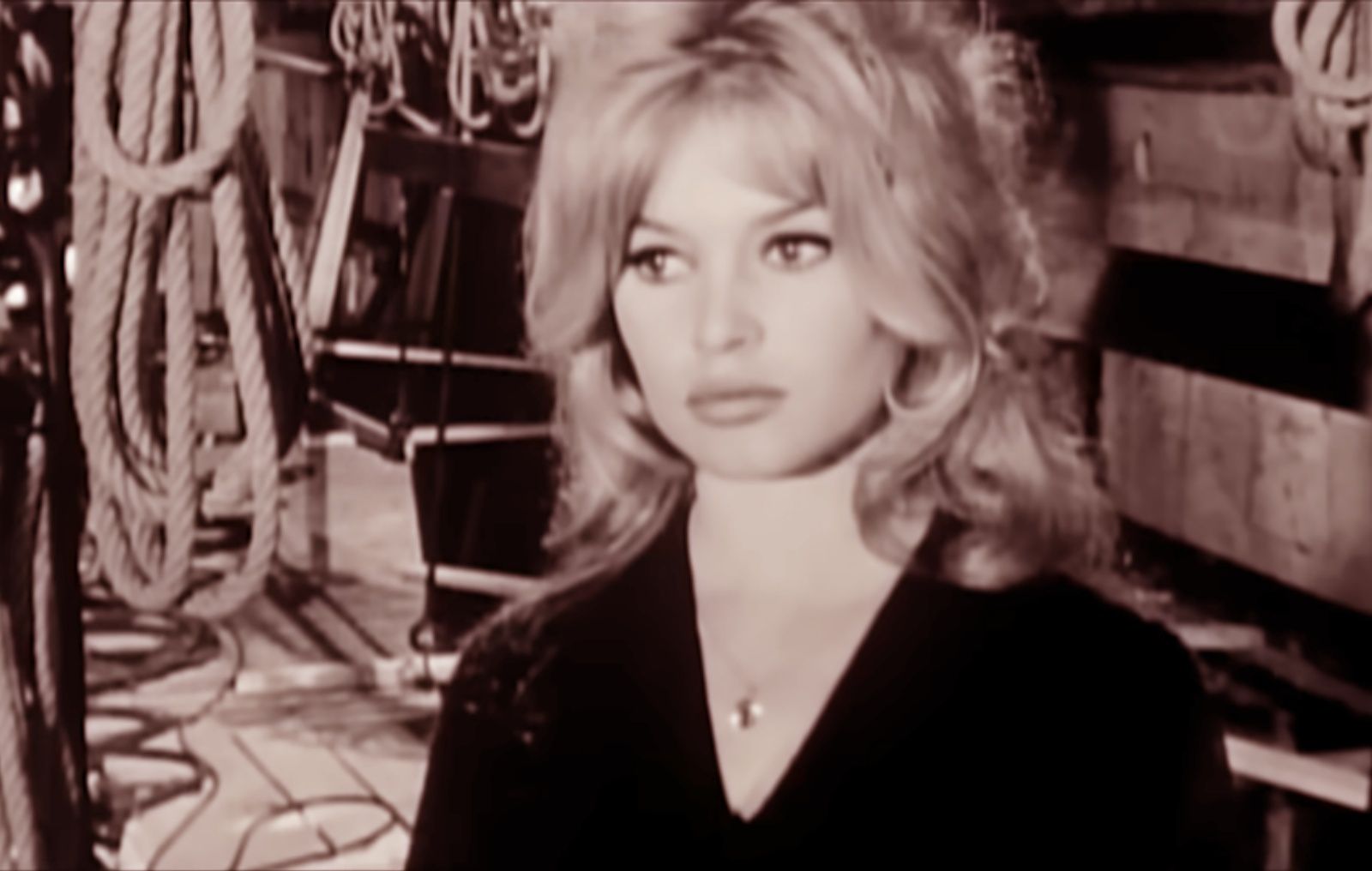 Brigitte Bardot's Relationship With Her Son Faces…