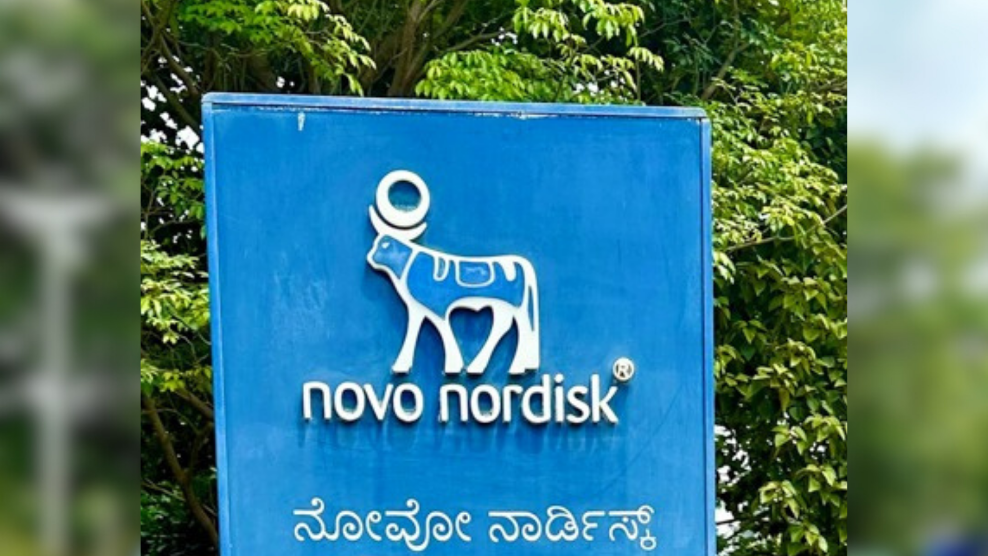 Novo Nordisk's Future Vision on 'Weight Loss' Wins…
