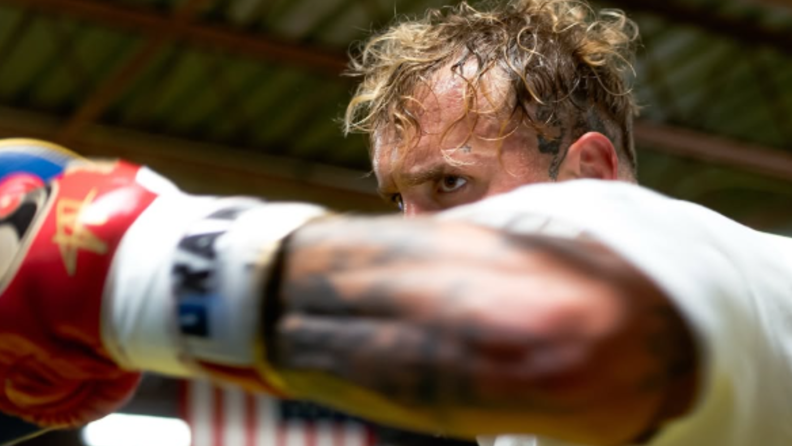 Jake Paul Issues Statement After Anthony Joshua Got…