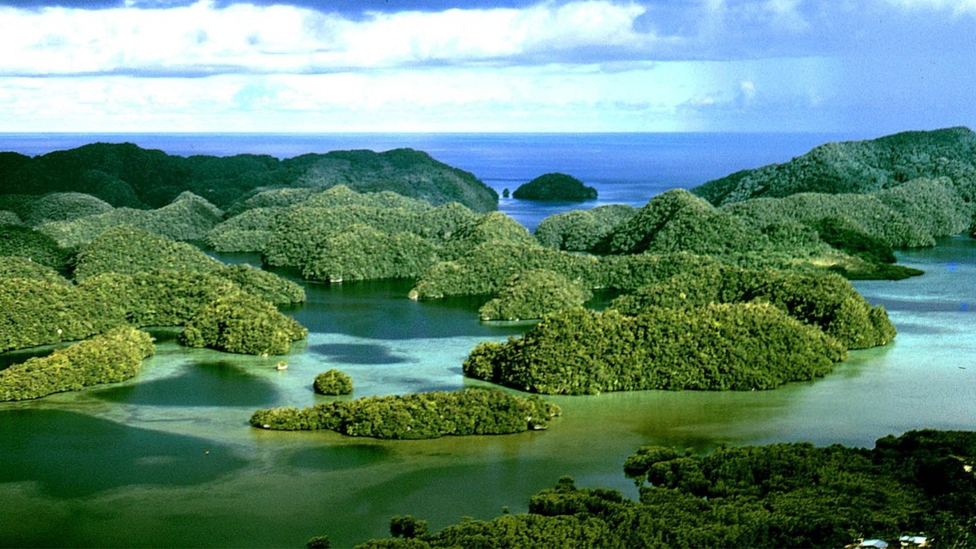 Tiny Island 'Palau' Agrees to Take 75 Immigrants from…