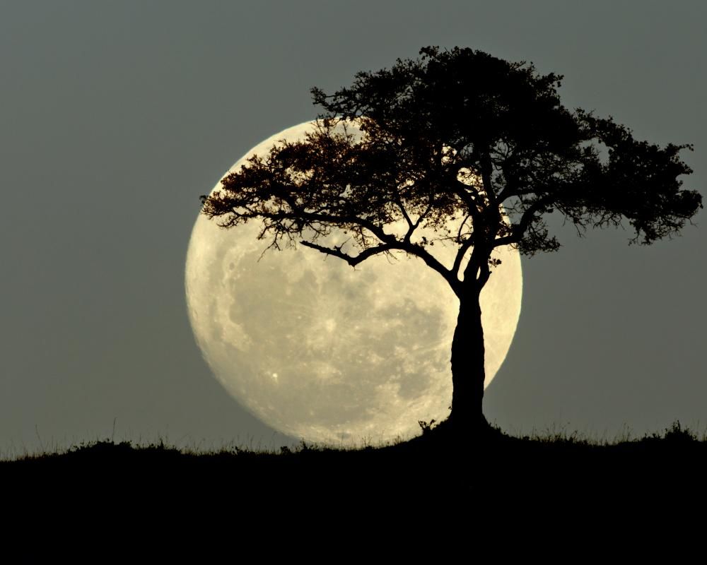 What phase follows a full moon? The Saturday quiz