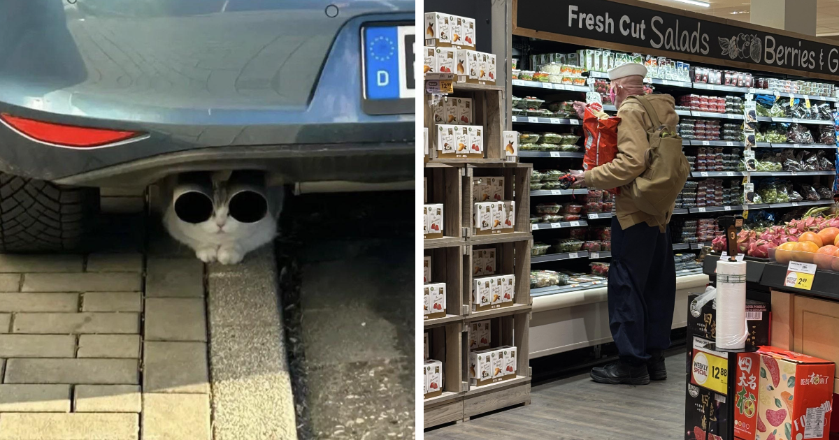 55 Funny Pictures From 2025 That Perfectly Capture The…