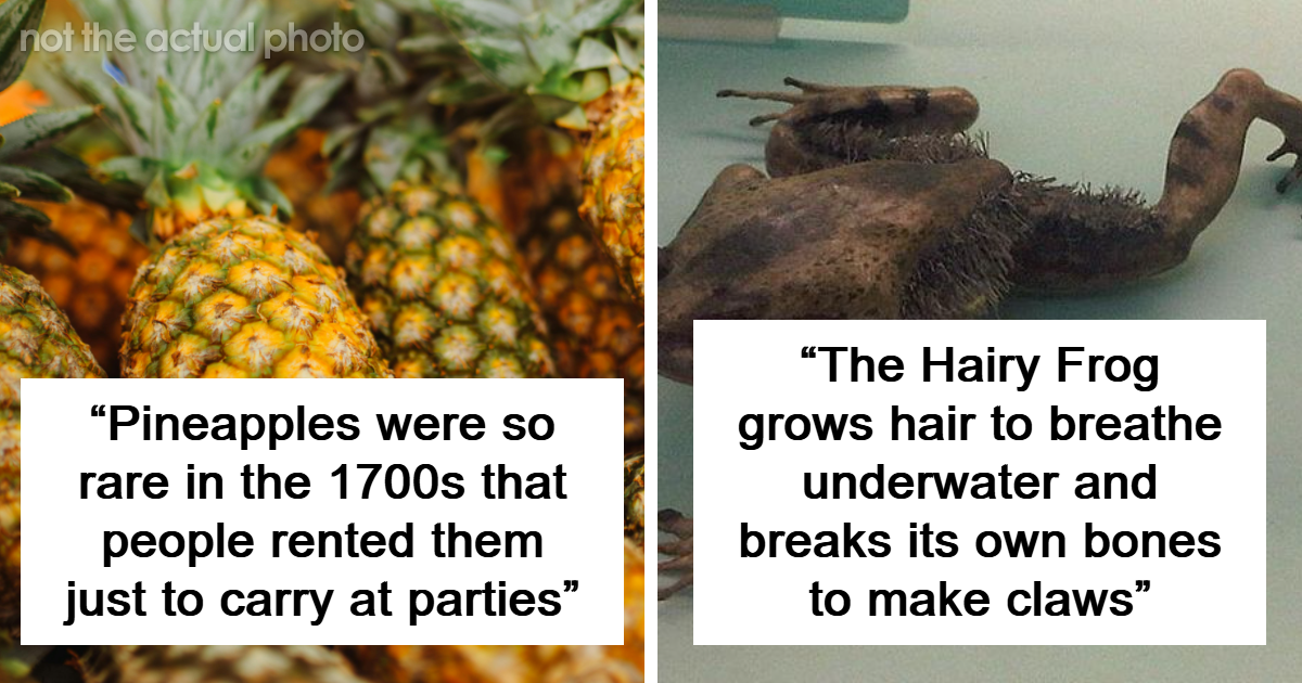 100 Interesting Facts That May Make You Rethink Things…
