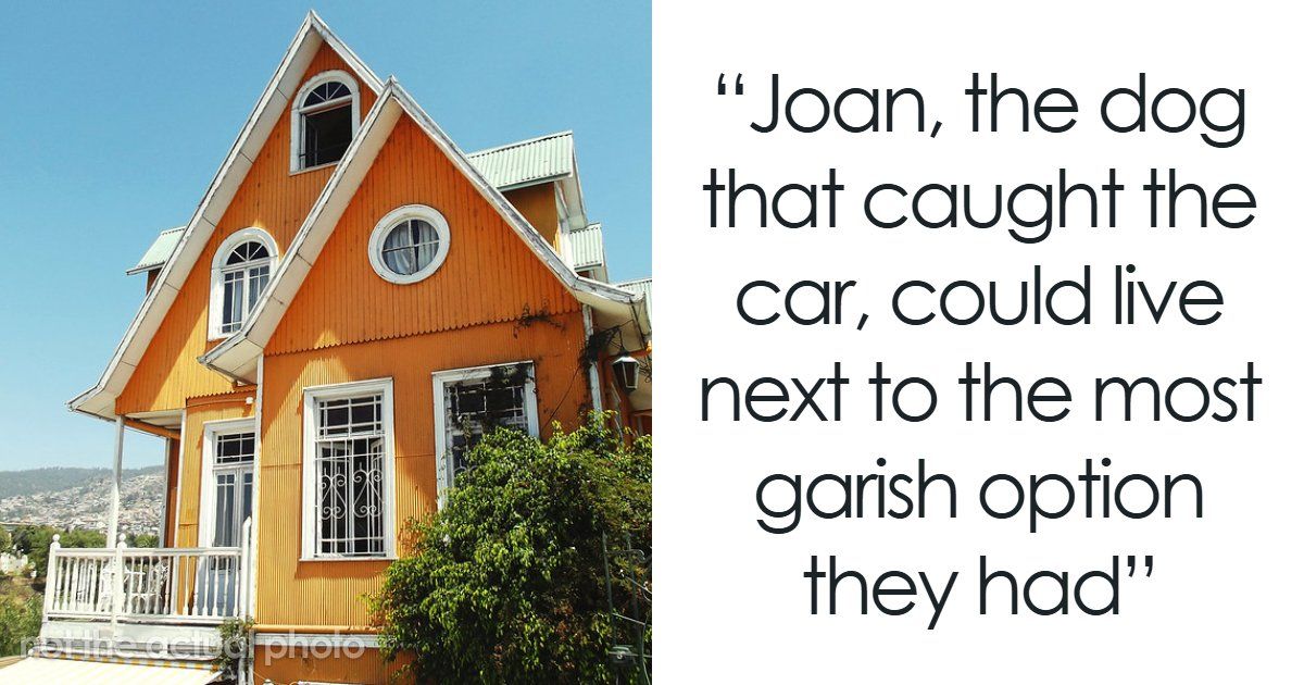 HOA President Who Couldn’t Live With Failed Power-Trip…