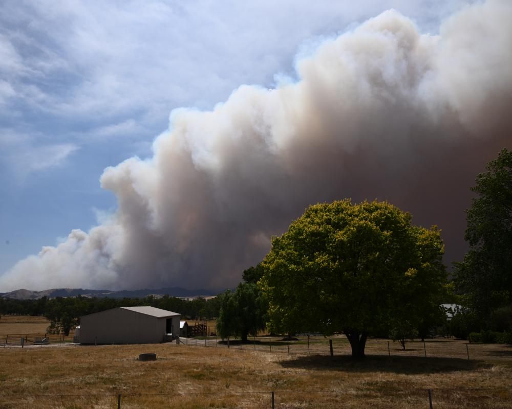 Afternoon Update: fires blaze in Victoria; dozens…