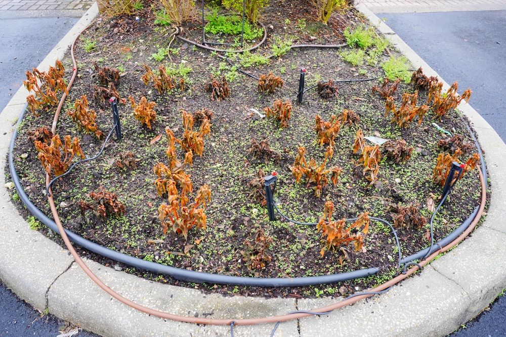 7 Mulch Moves That Prevent Freeze Damage to Roots