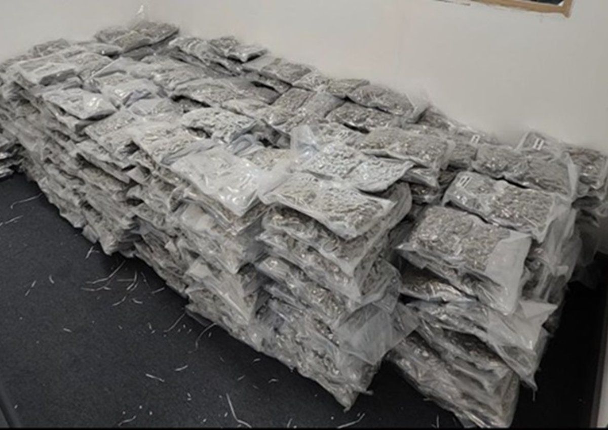 Police seize ‘record-breaking’ mountain of cannabis…