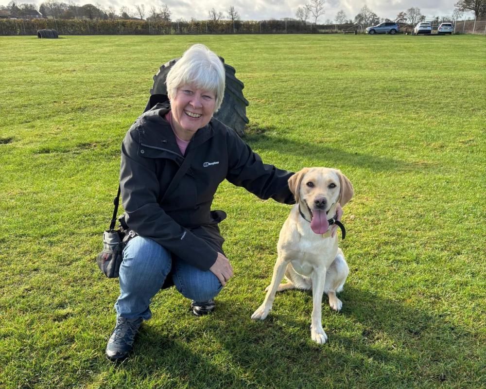 A new start after 60: I adopted a Guide Dog mum – and…