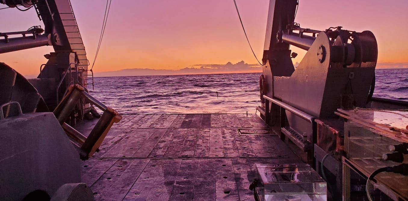 Viruses aren’t all bad: In the ocean, some help fuel…