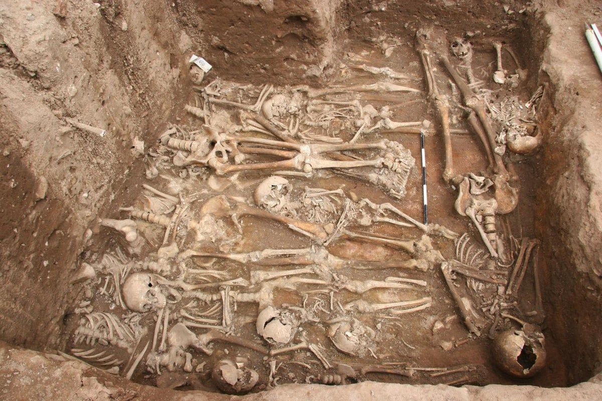 Medieval mass grave unearthed in Germany may contain…