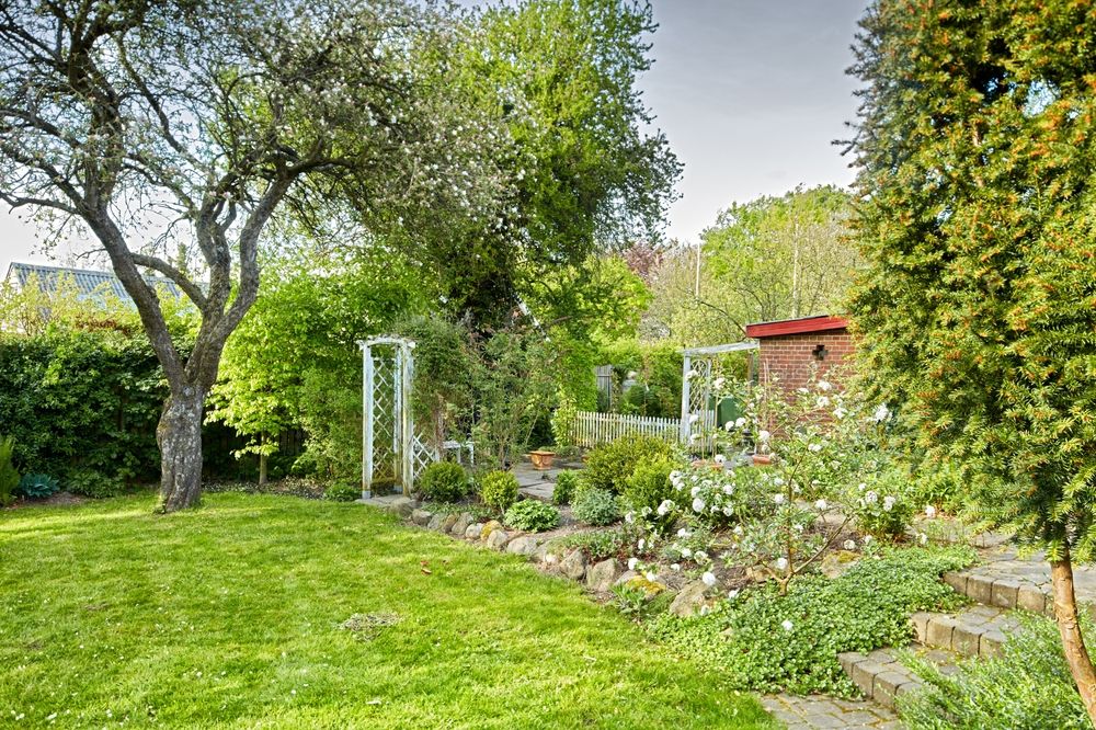 10 Backyard “Warm Spots” Where Plants Survive the…