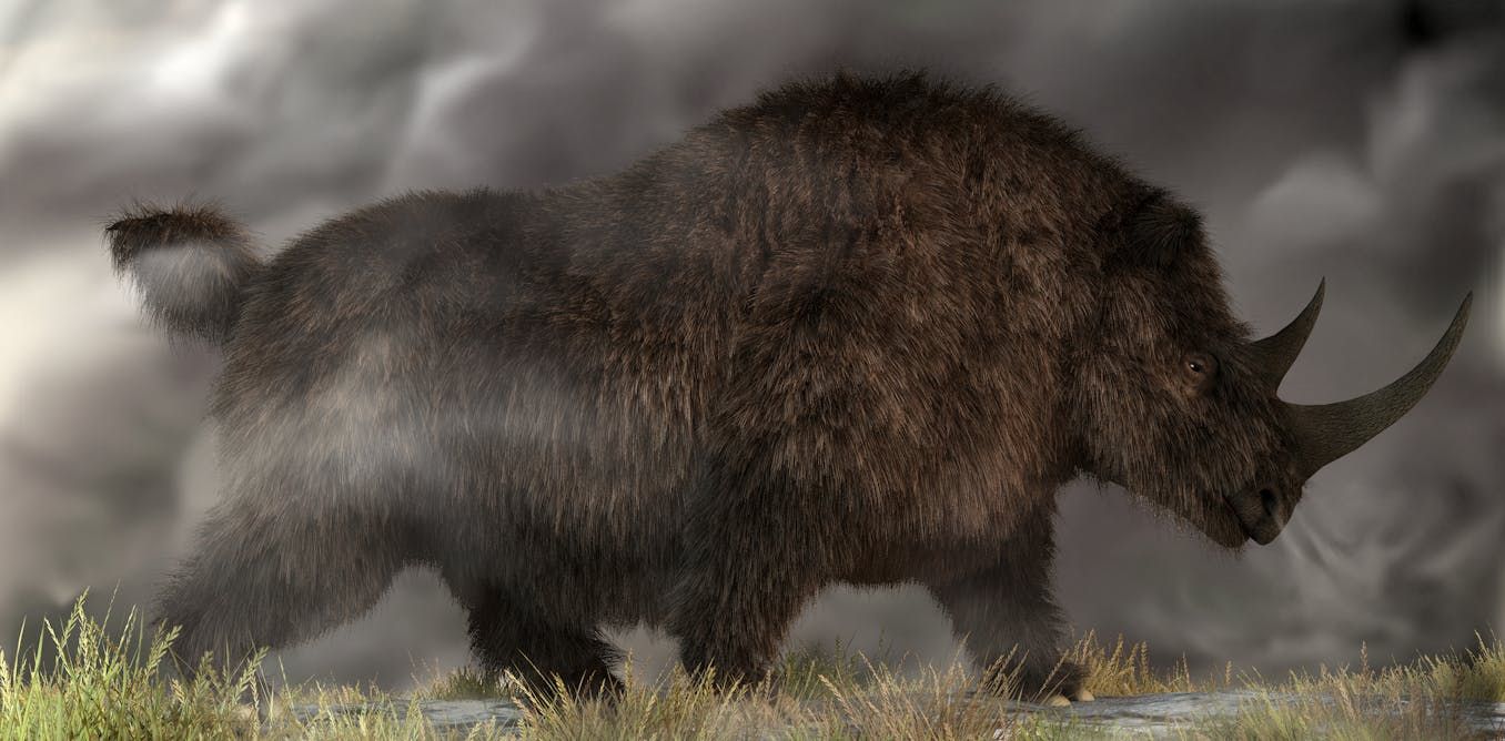 DNA from wolf pup’s last meal reveals new facts about…