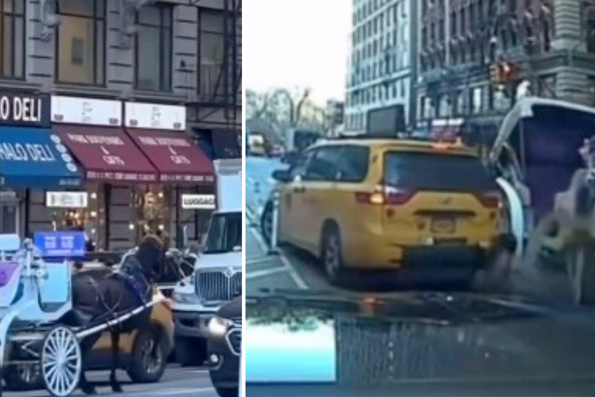Runaway New York carriage horse almost tramples…