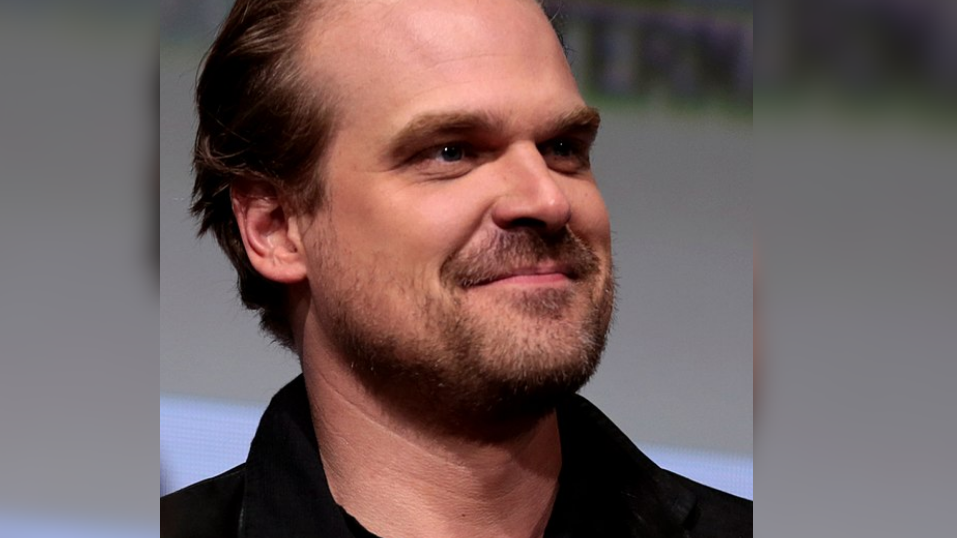 David Harbour, Lily Allen Divorce: 'Stranger Things'…