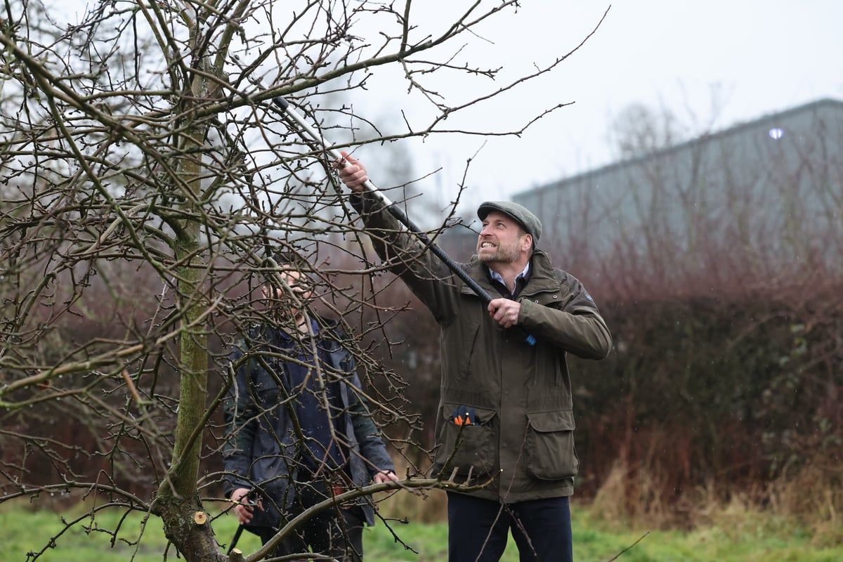 Prince of Wales branches out into tree-pruning on…