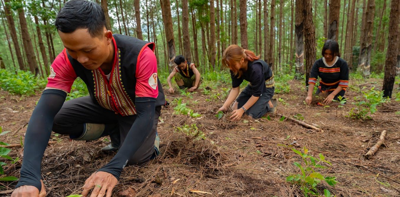 Why restoring nature can work so much more effectively…