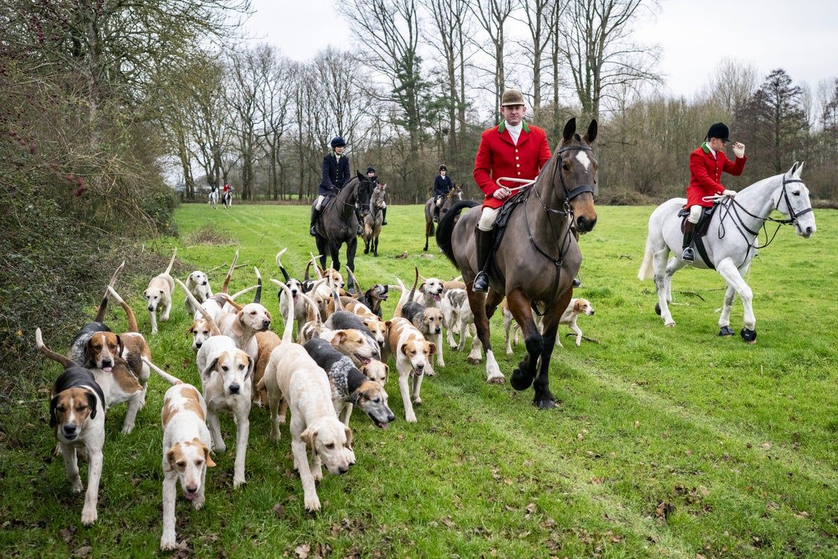 Poll shows widespread opposition to trail hunting