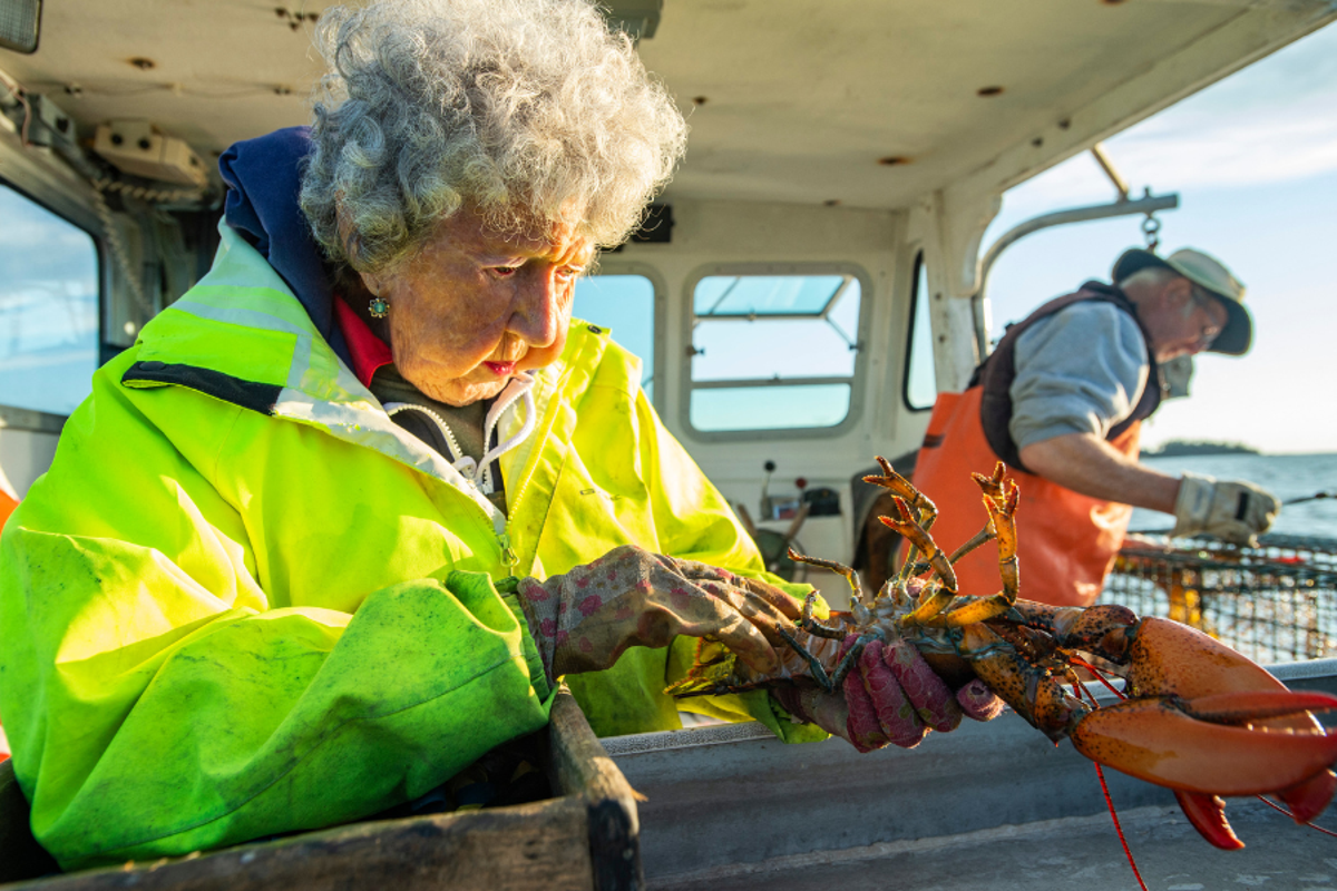 ‘Lobster Lady’ of Maine, whose dedicated following…