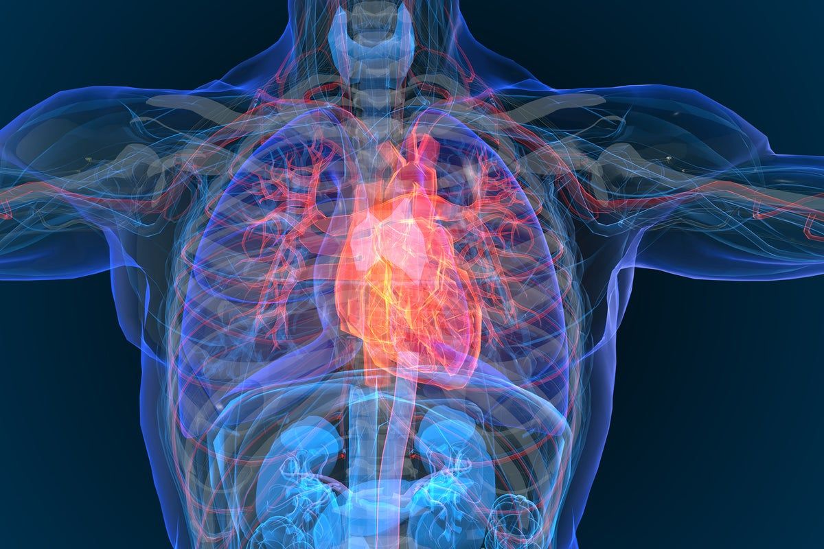 The drug that could treat gout – and reduce heart…