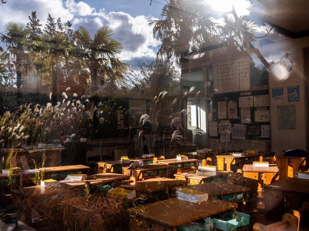 The Fukushima towns frozen in time: nature has thrived…