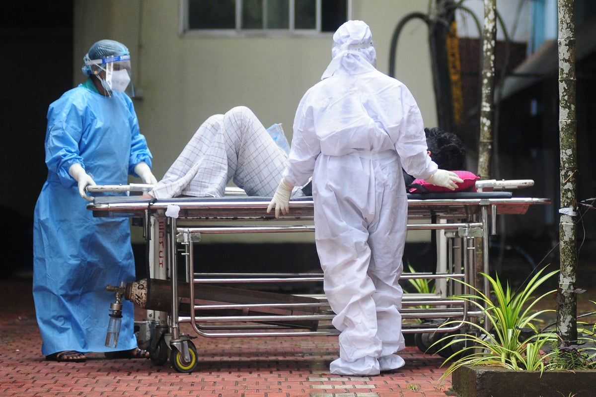 UK health chiefs issue new warning about Nipah virus