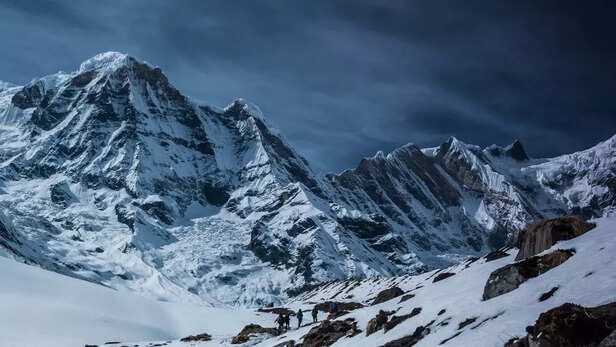 You Won’t Believe the Wildlife Hidden in the Himalayas