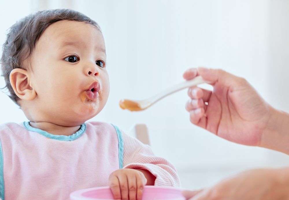 Virginia Baby Food Ban: 5 Specific Brands Just…
