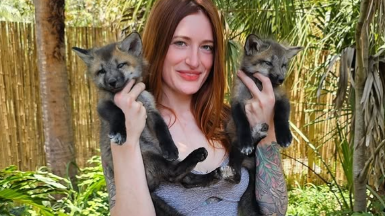 Save A Fox YouTube channel confirms passing of…