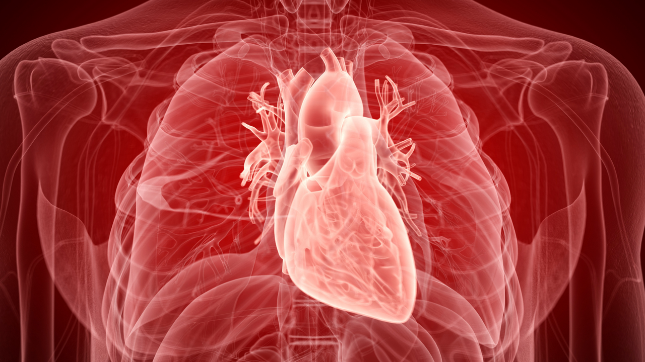 Diagnostic dilemma: Man's autopsy reveals unexpected…
