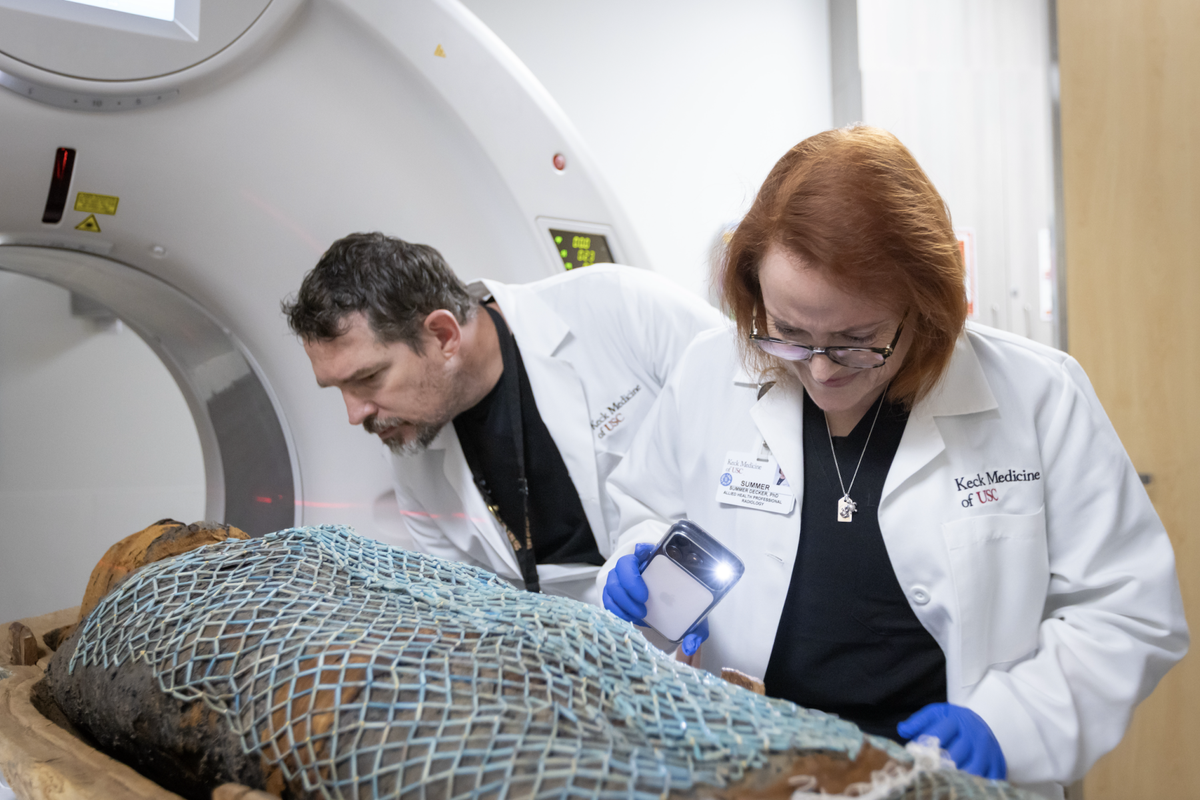 Scans of ancient Egyptian mummies reveal conditions…