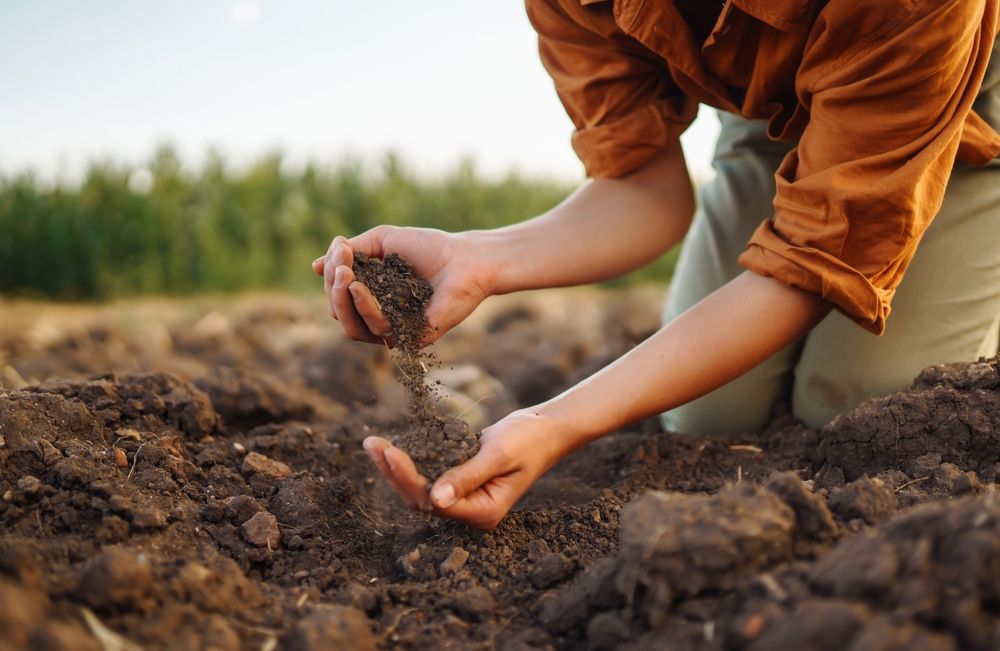 Soil Scientists Warn: This Contamination Is Spreading…