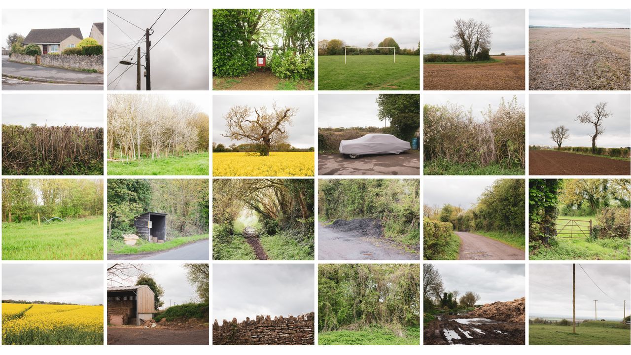 I made myself take one photo every five minutes on a…
