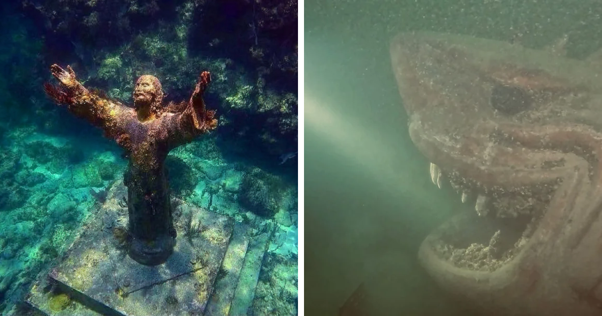 71 Unexpected Ocean Photos That Might Freak You Out