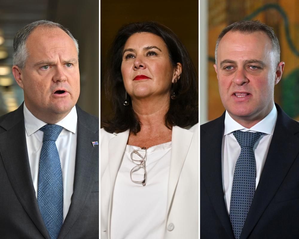 Angus Taylor will challenge for the Liberal leadership…