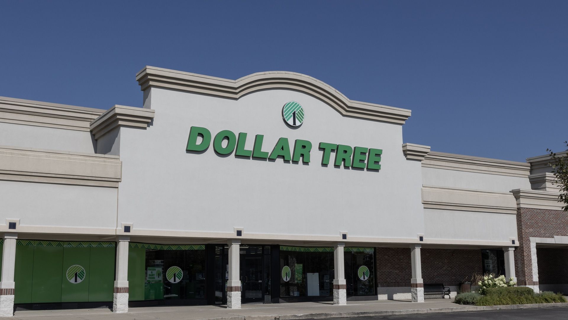 7 Dollar Tree Items Smart Seniors Should Stock Up On…