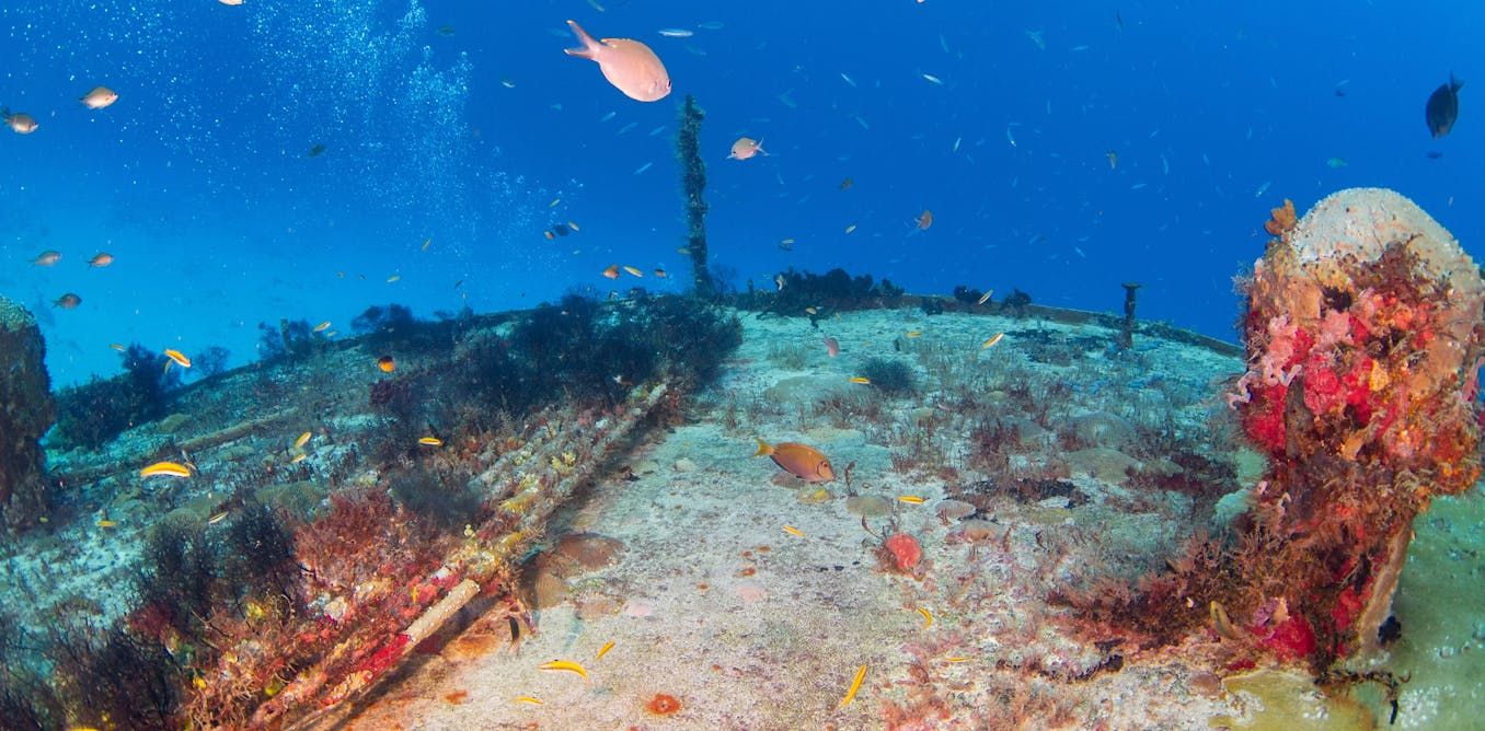 How 1.5 million km of undersea internet cables can…