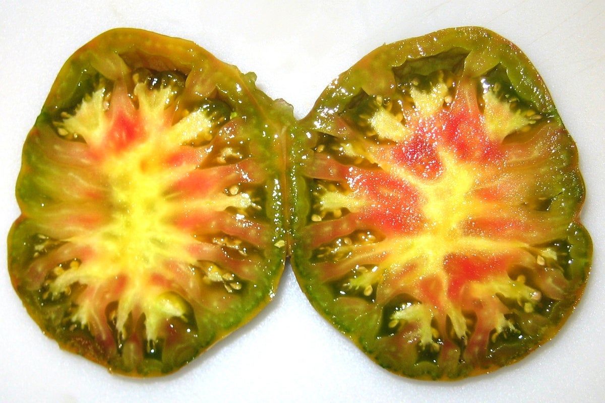 A kaleidoscope of oddball tomatoes to try as…