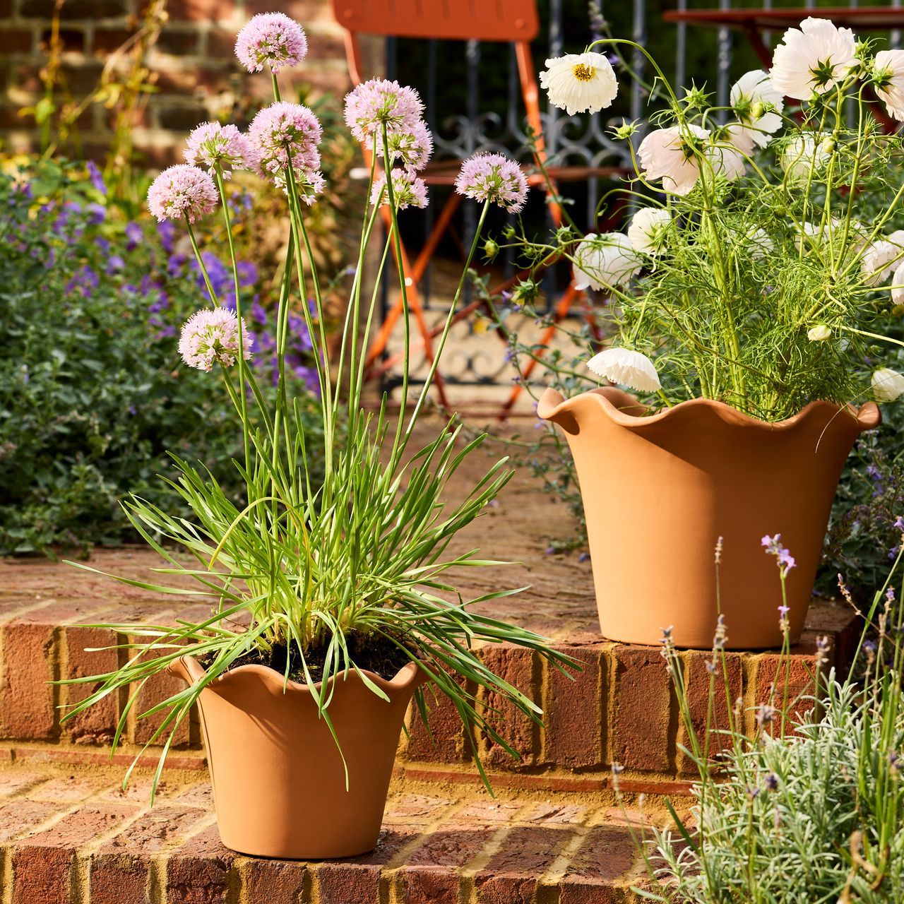 Habitat just dropped the prettiest frilly plant pots