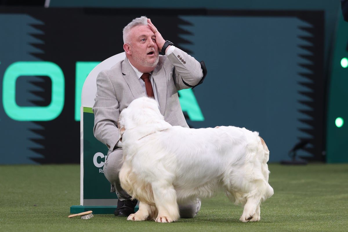 Calls for Crufts winner to have award removed after…