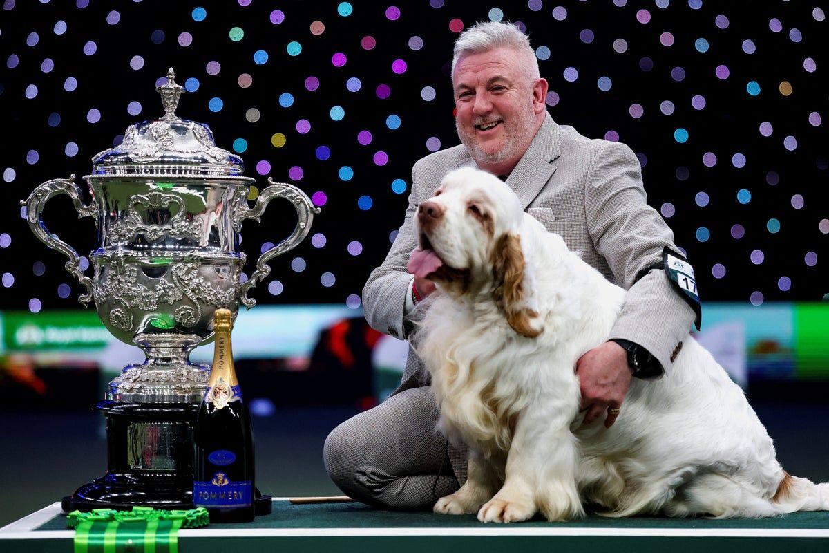Crufts champion faces growing backlash as 15,000 sign…