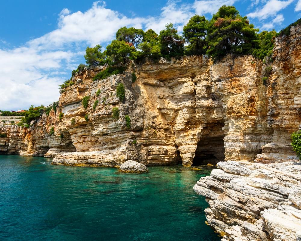Pristine waters teeming with marine life: a deep dive…