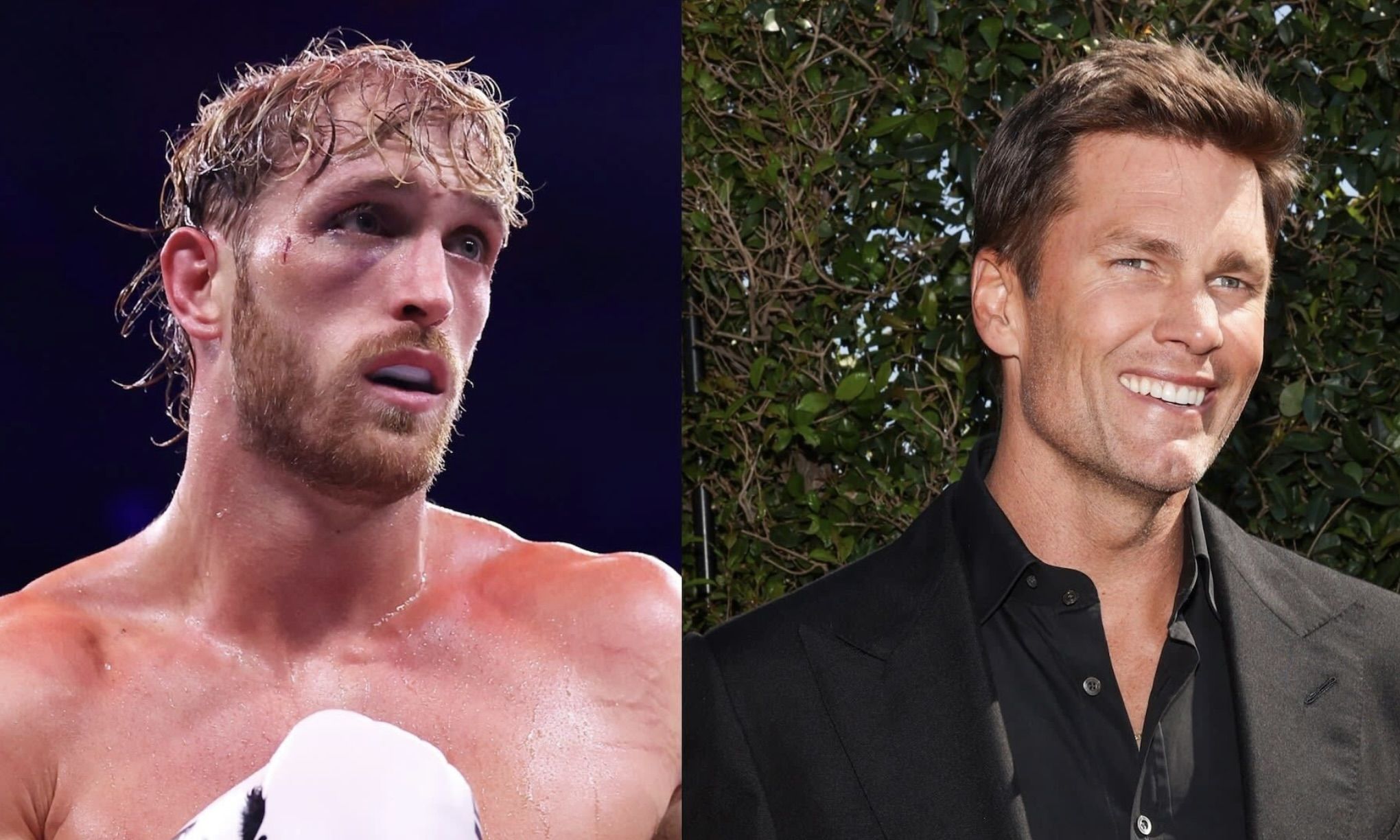 Tom Brady, Logan Paul Feud Explained: NFL Legend…