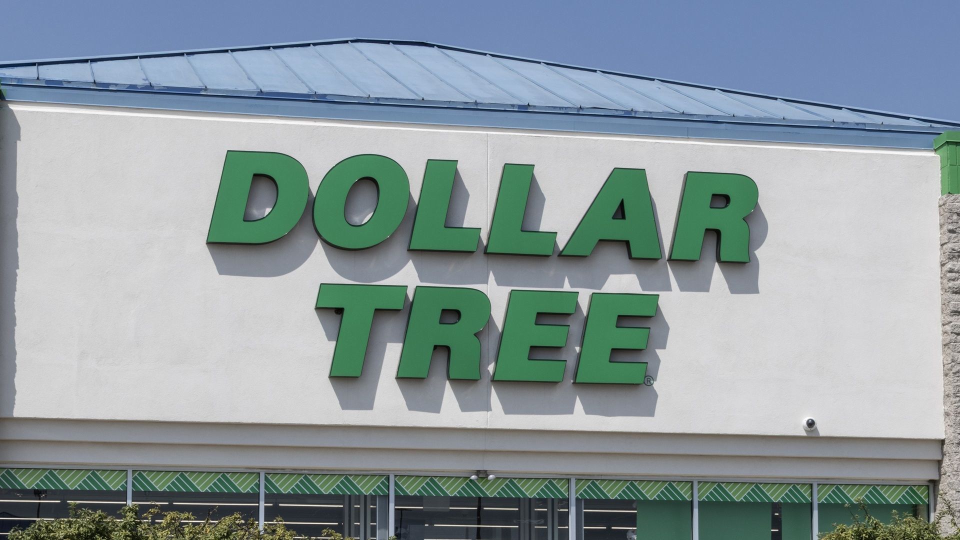I Gave Myself a $40 Dollar Tree Budget — Here’s What…