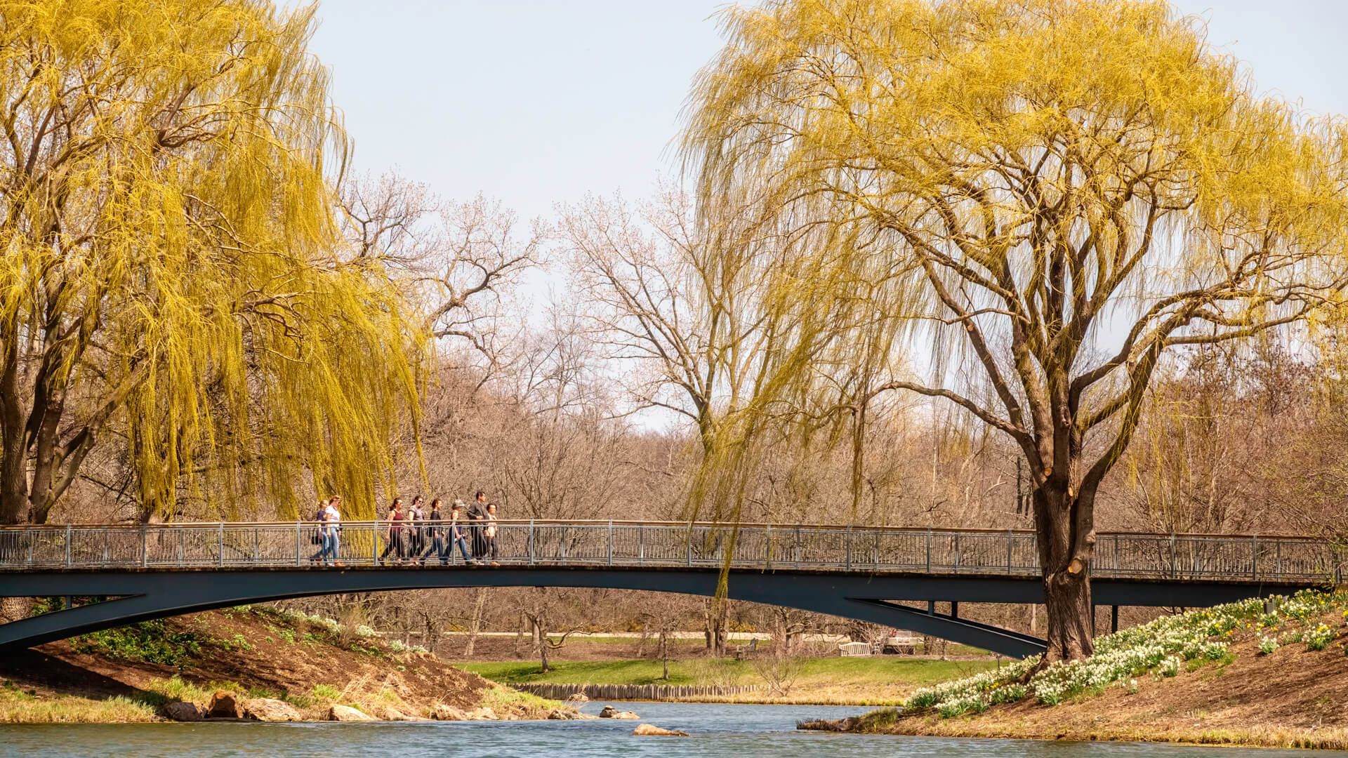 50 Safest and Richest Small Towns To Live in 2026