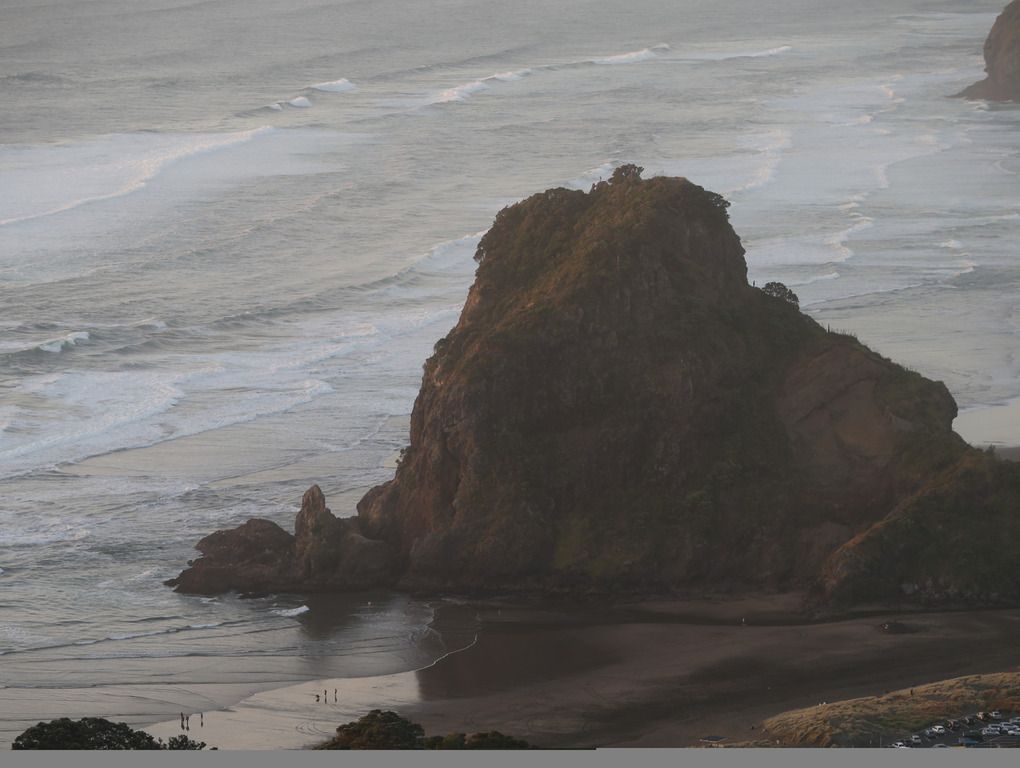 Piha lifeguards slam 'unsafe' night swimmers