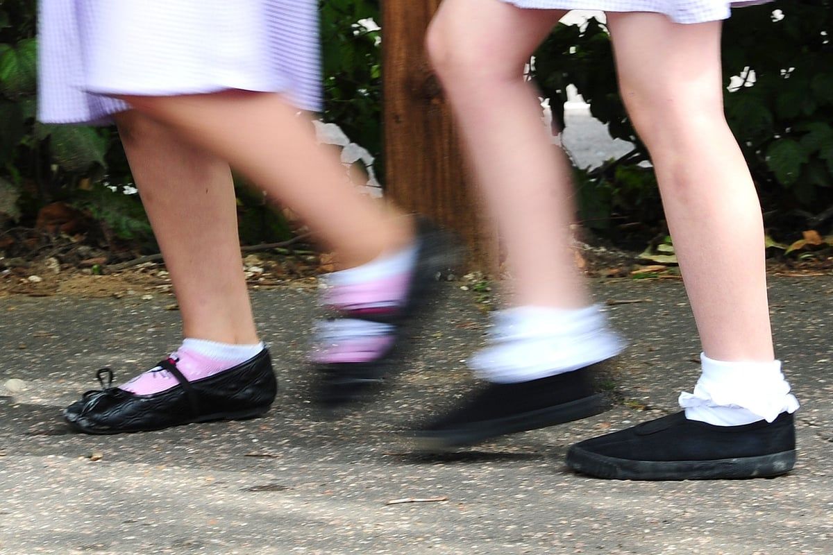 More support urged for ASN pupils as specialist…